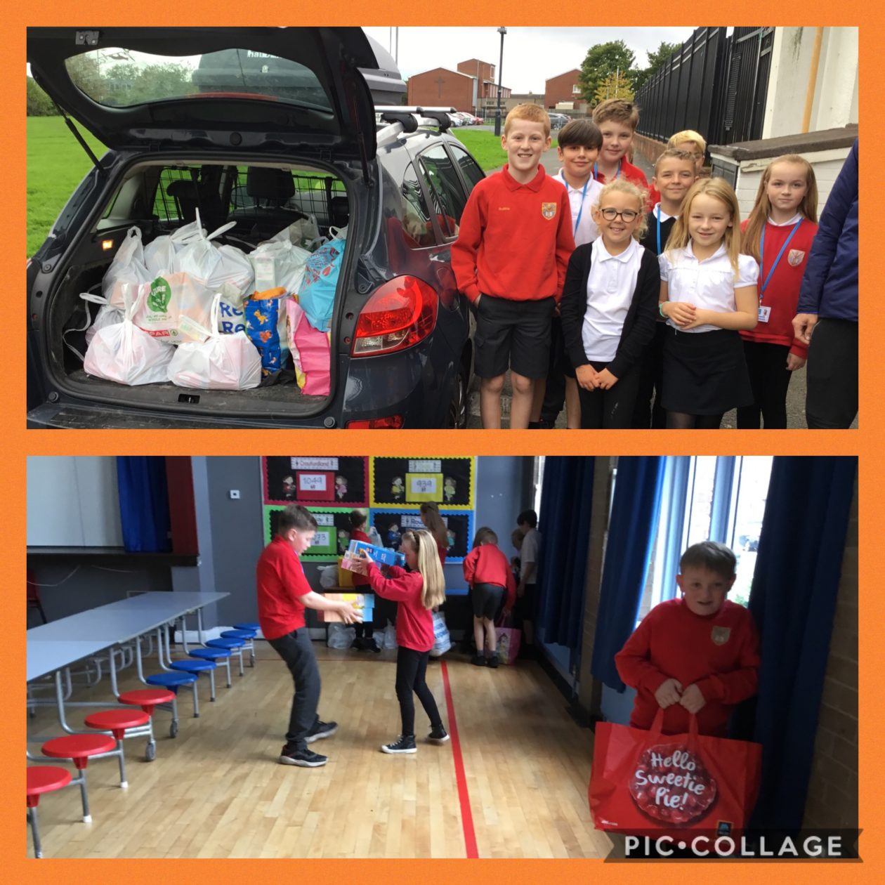 Harvest 🥫🧅🌽