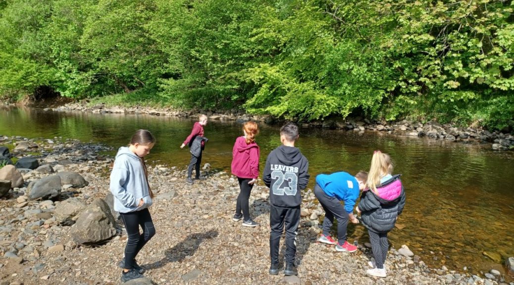 Update … | Outdoor Learning