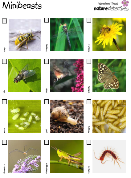 Miss Webb and Mrs Deans with P4 Blog | Just another blogs.glowscotland ...