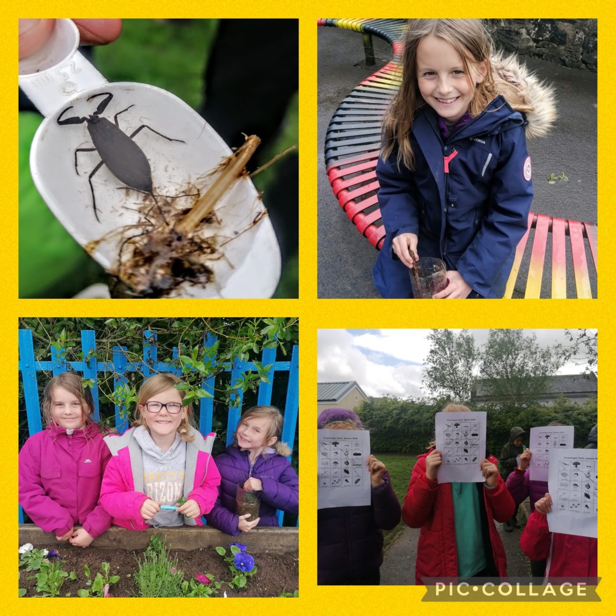 P4 Outdoor Learning Day | Primary 5