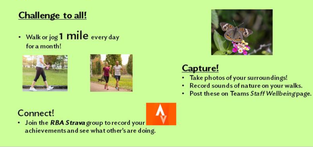 Activities – Promoting Positive Mental Health and Wellbeing @ RBA