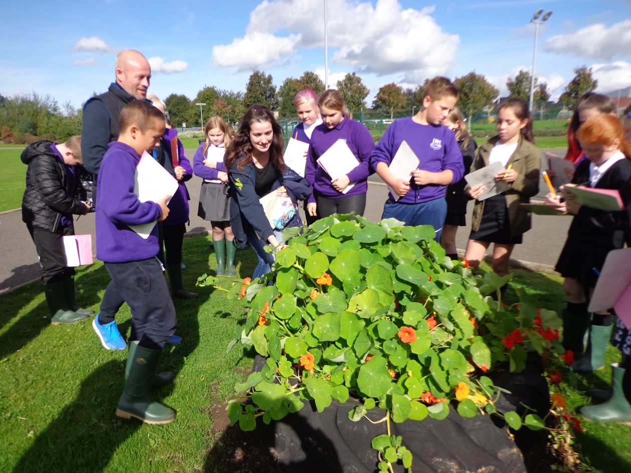 dsc00282 | Shortlees Primary & ECC