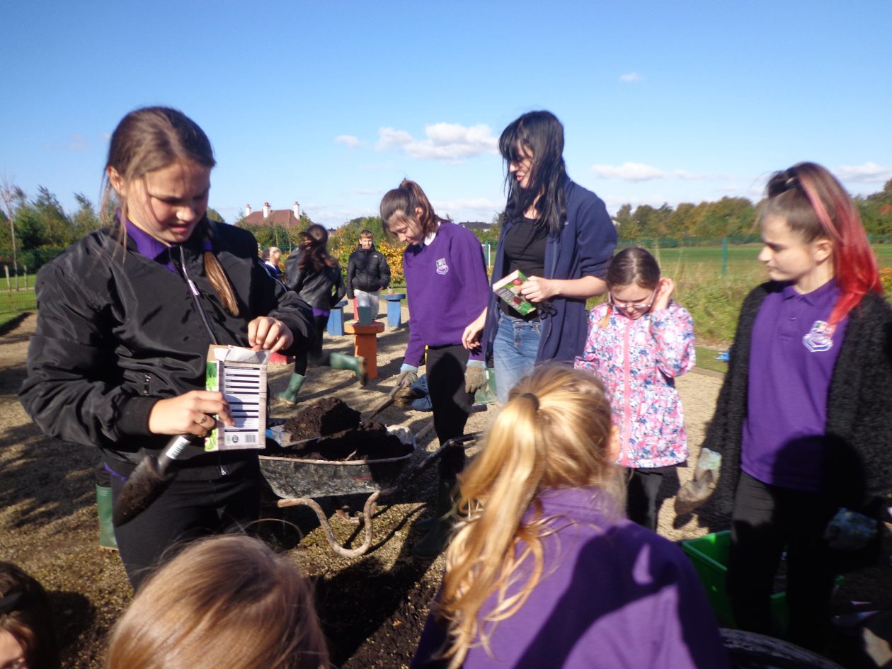 dsc00412 | Shortlees Primary & ECC