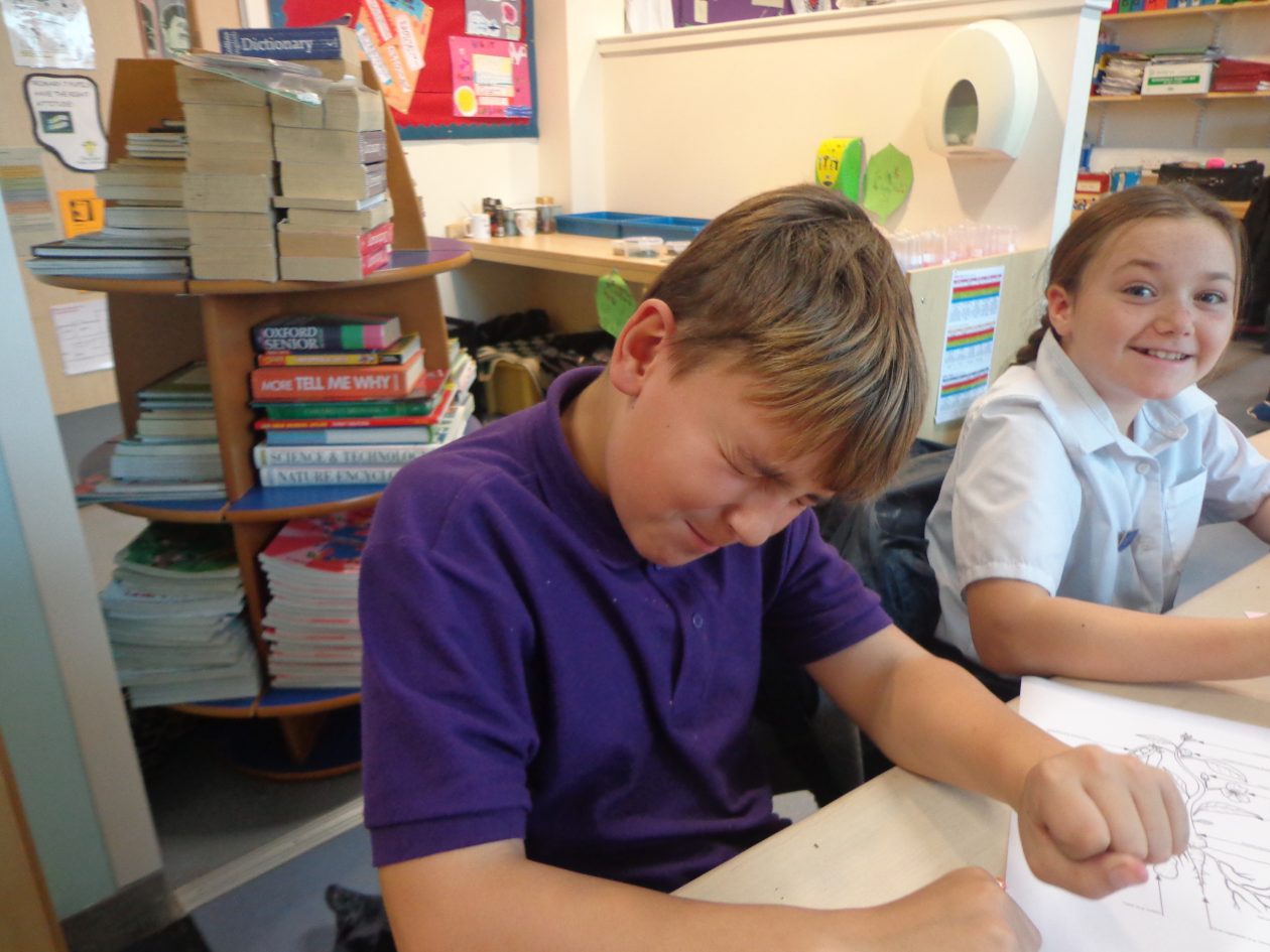 dsc00530 | Shortlees Primary & ECC