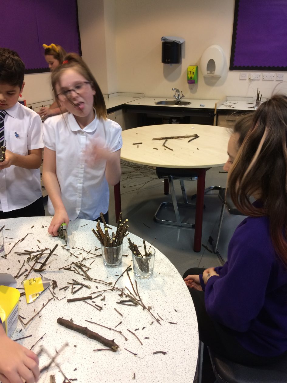 img_1614 | Shortlees Primary & ECC