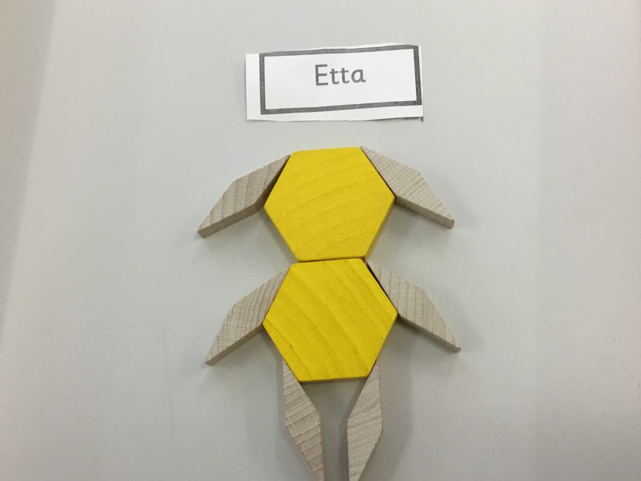 IMG_0132 | St Patrick's PS Primary 2/3 2024