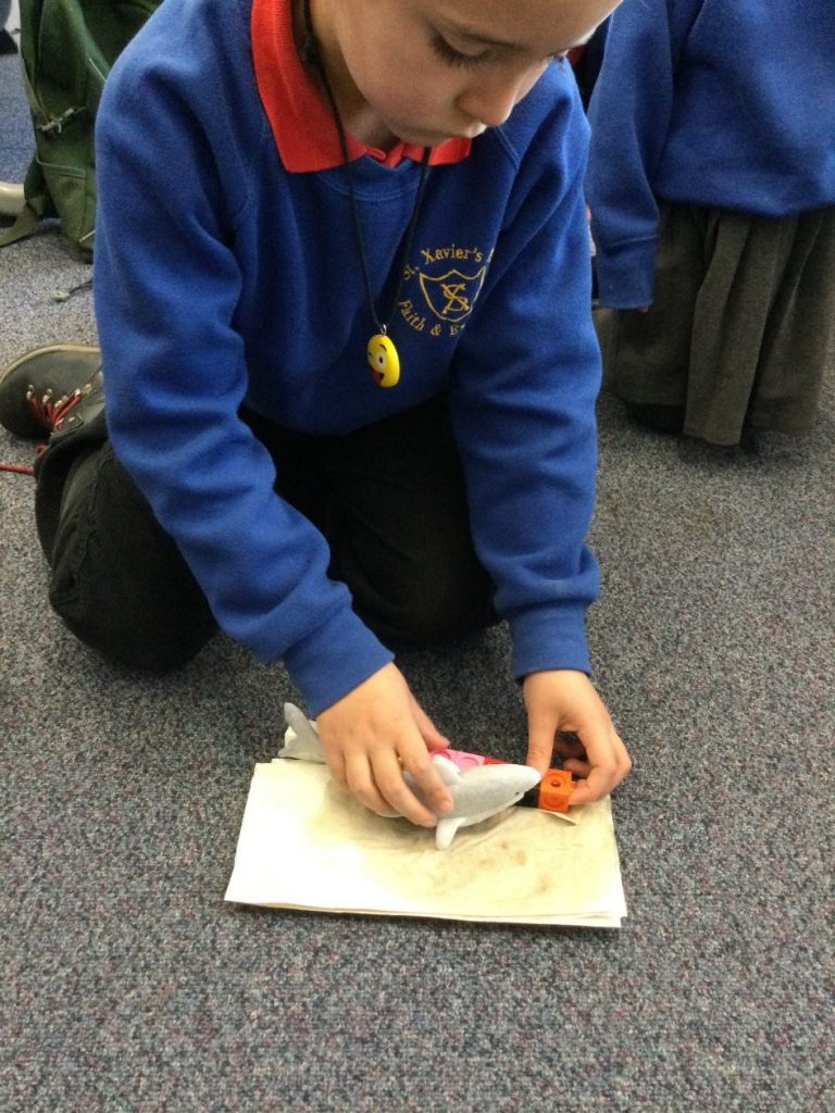 P1/2 Growing Sharks and Active Measure | St. Xavier's Primary School