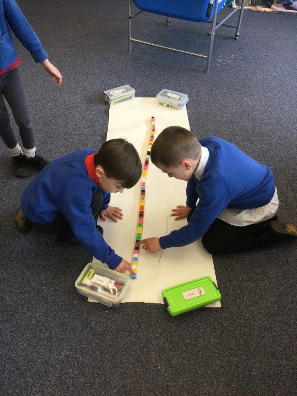 P1/2 Growing Sharks and Active Measure | St. Xavier's Primary School