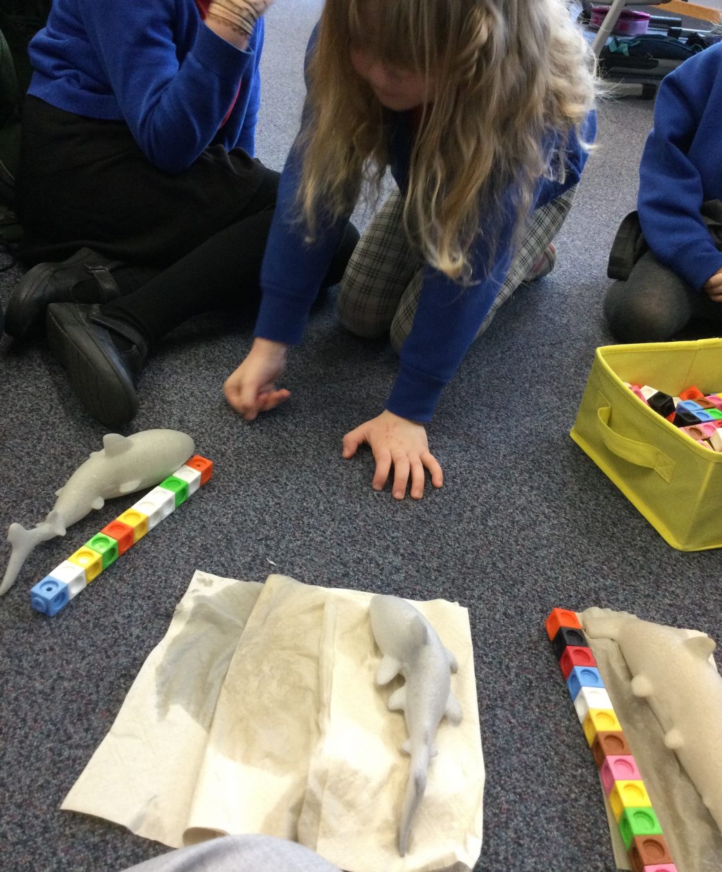 P1/2 Growing Sharks and Active Measure | St. Xavier's Primary School