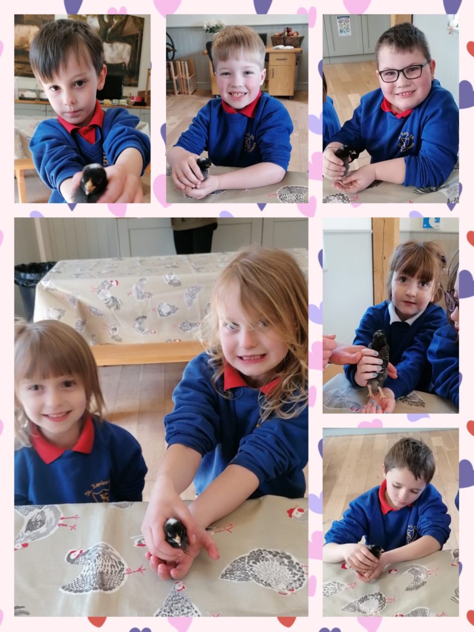 Dumfries House Visit | St. Xavier's Primary School