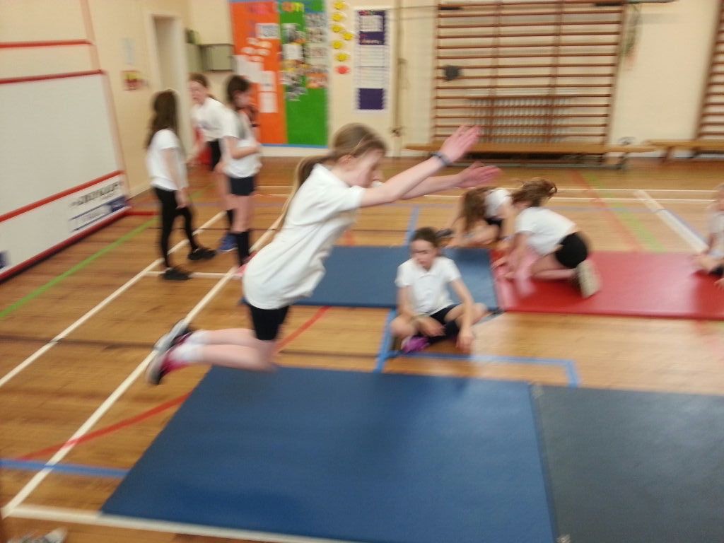 Science Rocks, Screen Printing and Gymnastics – Bearsden Primary School