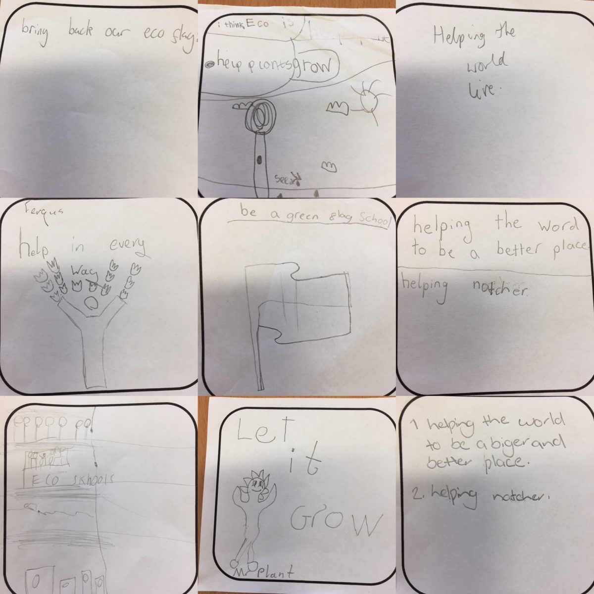 Eco code ideas – Bearsden Primary School