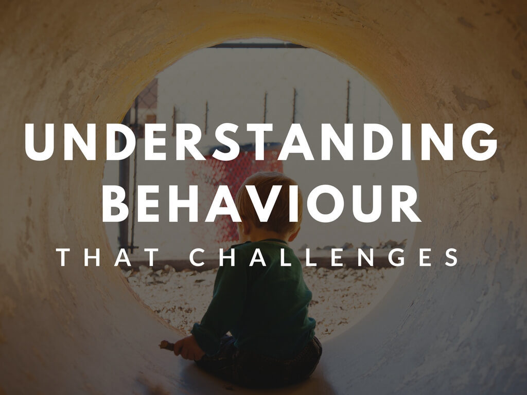 Understanding and Supporting Challenging Behaviours – Colquhoun Park ...