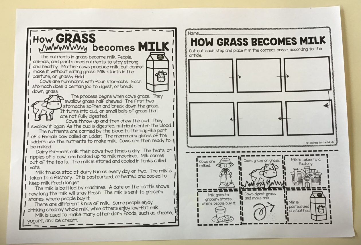 Reading Skills – Sequencing – P5.17 Blog 2023/24