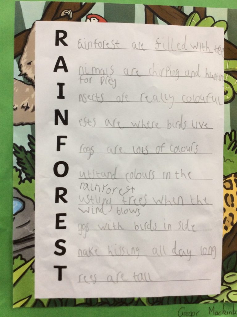 Rainforest Acrostic Poems! | P4.20 Blog