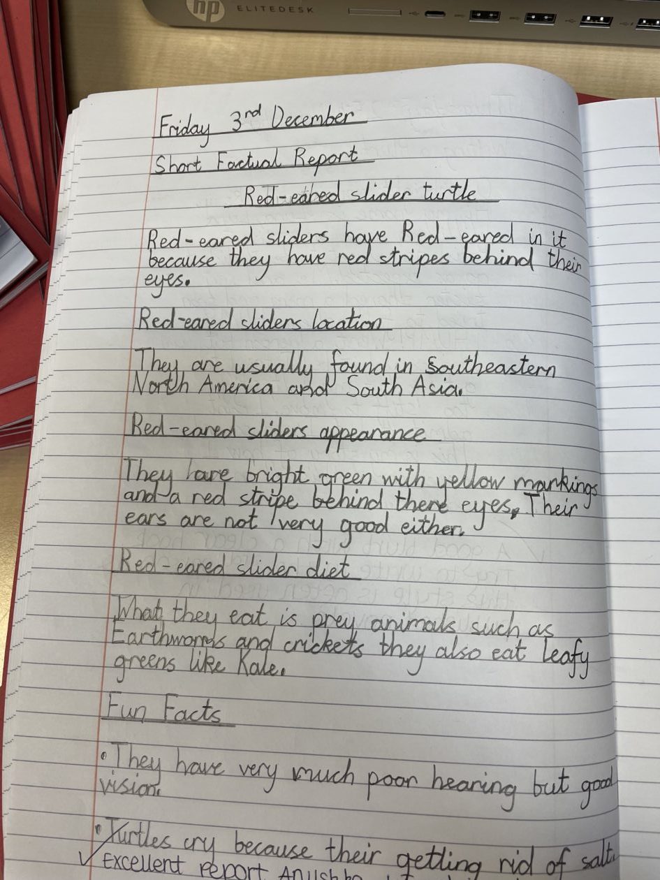 Writing – Factual Reports | Retired P7.25 Blog