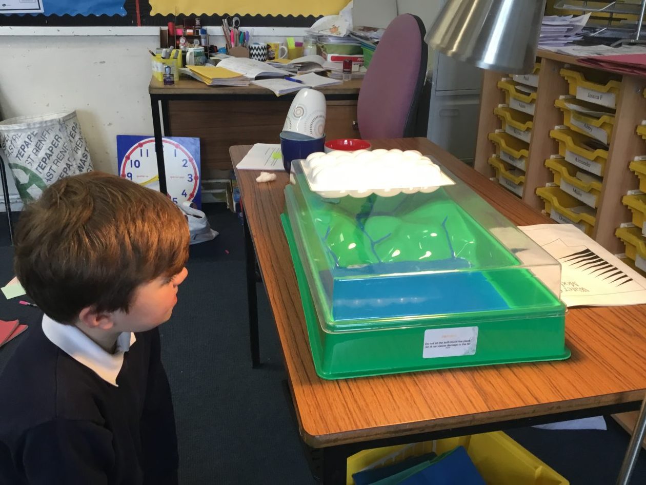 The Water Cycle Primary 7 2 2013 2020 the-water-cycle-primary-7-2-2013-2020