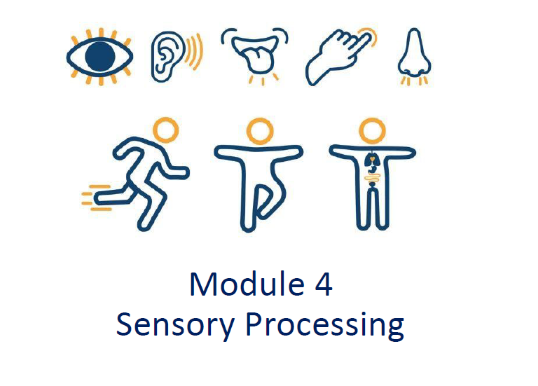 Module 4 Sensory Processing
