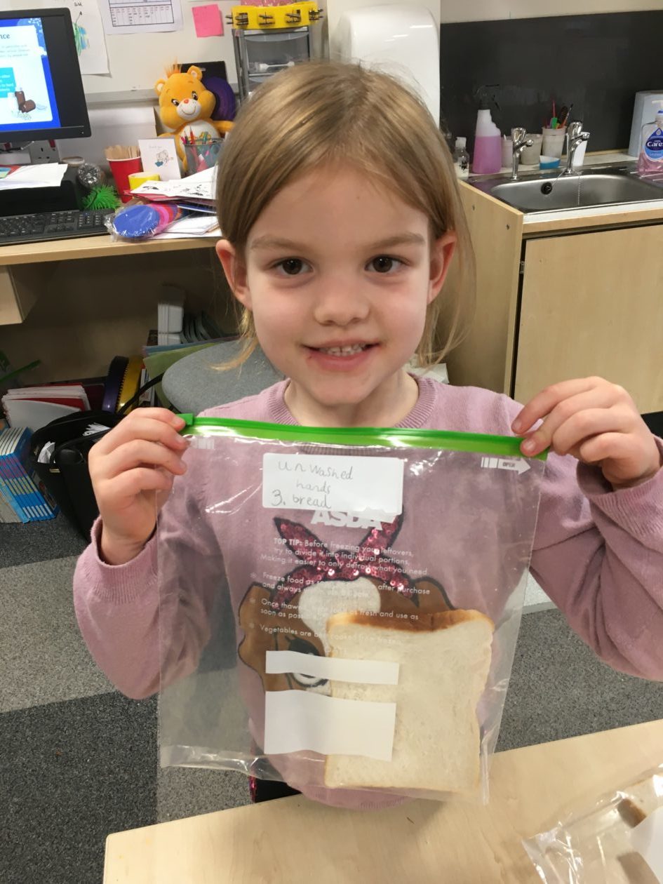 Bacteria Science Experiment.