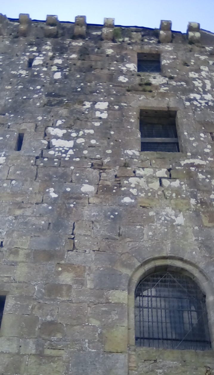 Visit to Mearns Castle – Kirkhill Primary (P3c.1 & P3c.2)