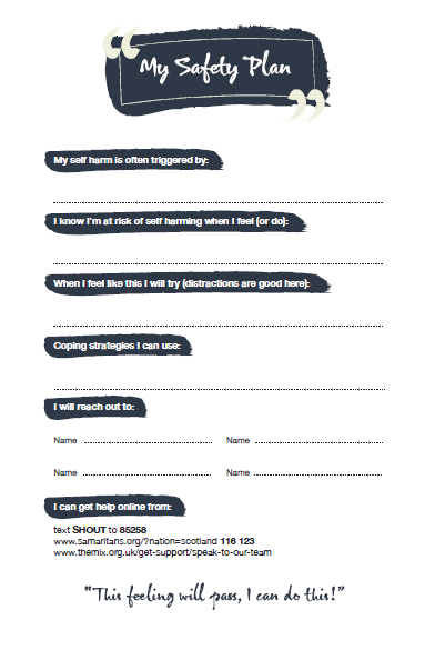 Safety Plans and Diary