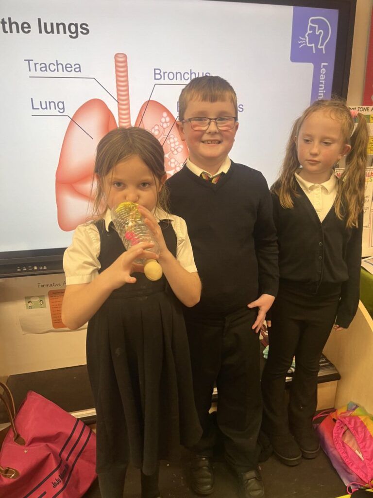 The Air We Breath – Primary 3b 24/25