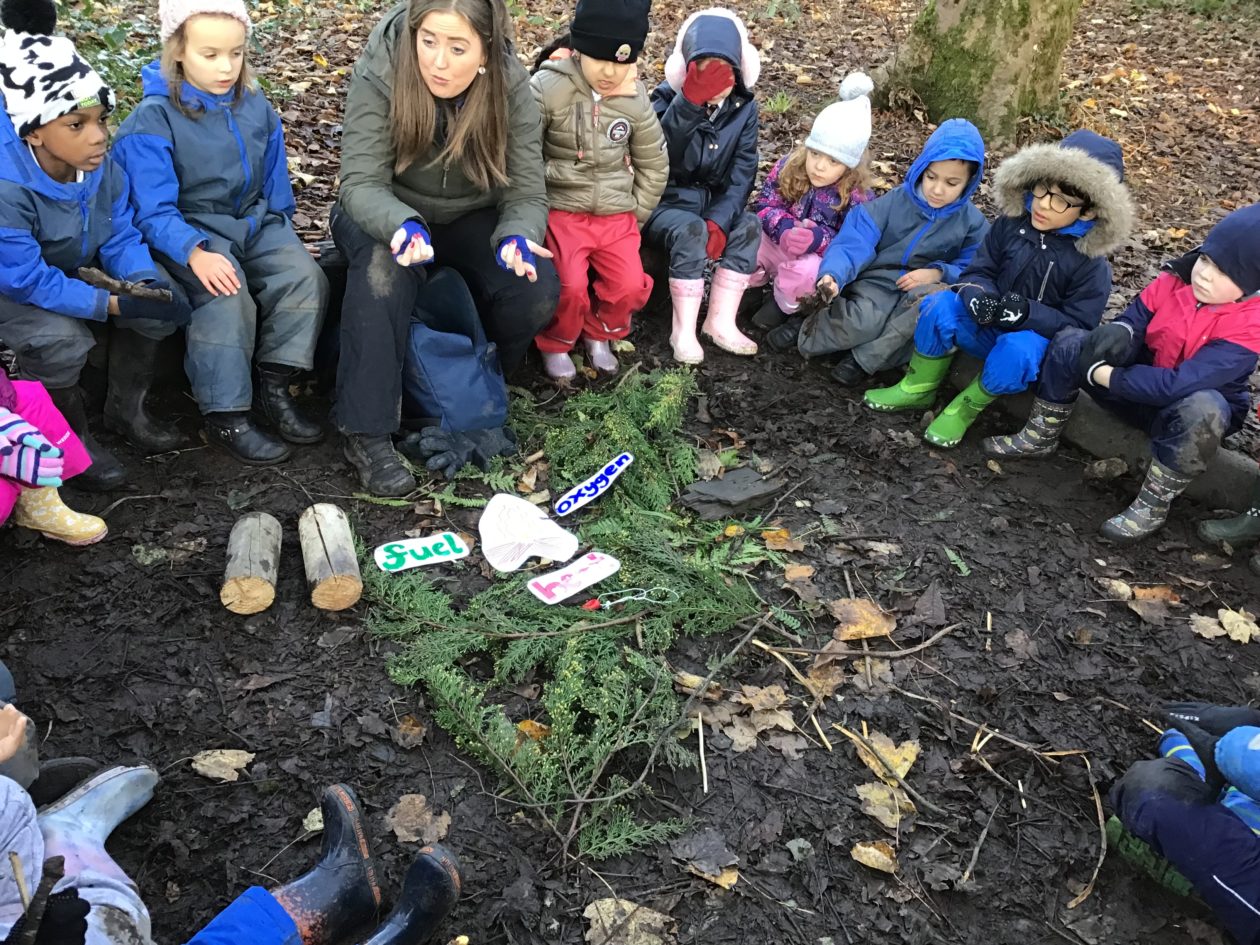 Forest School – Primary 5b 2024/2025