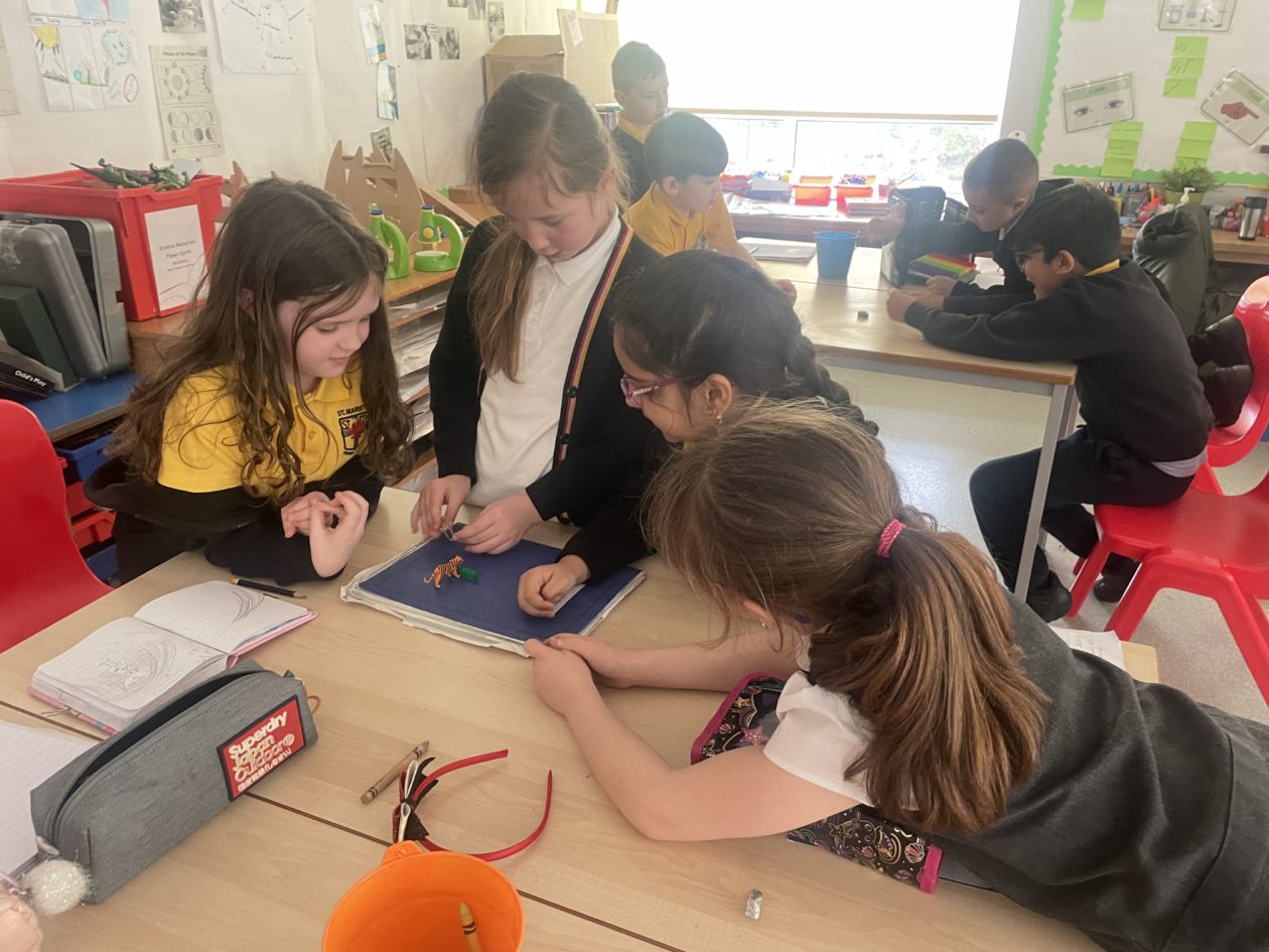 STEM – food chains – Primary 5b 2024/2025