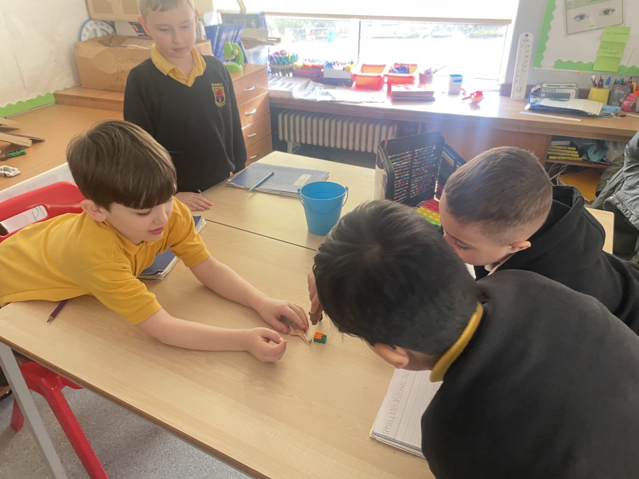 STEM – food chains – Primary 5b 2024/2025