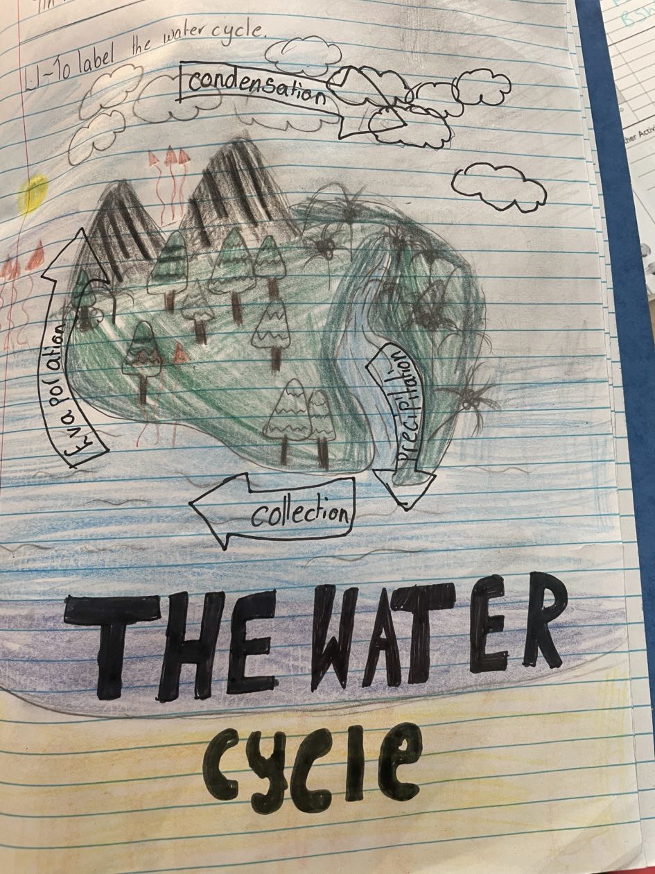 STEM – The Water Cycle – Primary 7b 23/24