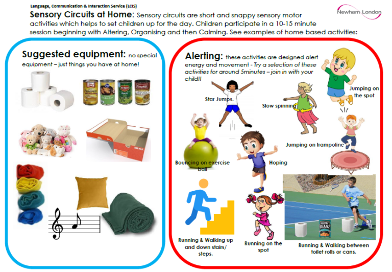 Sensory Circuits