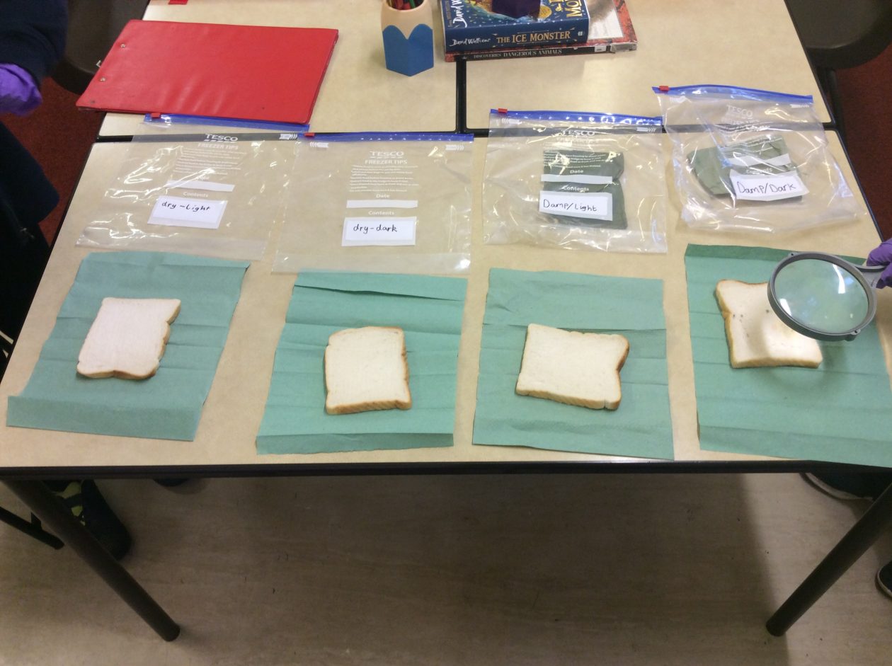 Science Experiments | Sgoil Bhreascleit