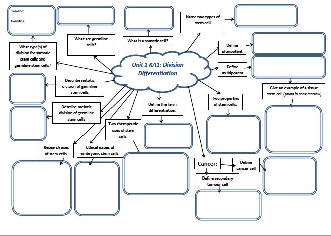 Higher Human Biology
