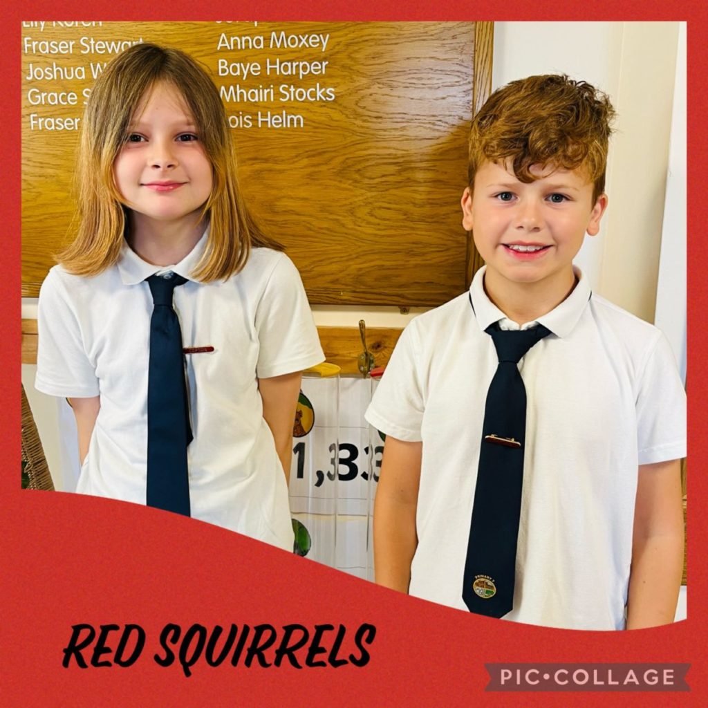 Pupil Leadership | Bellyeoman Primary School and Nursery