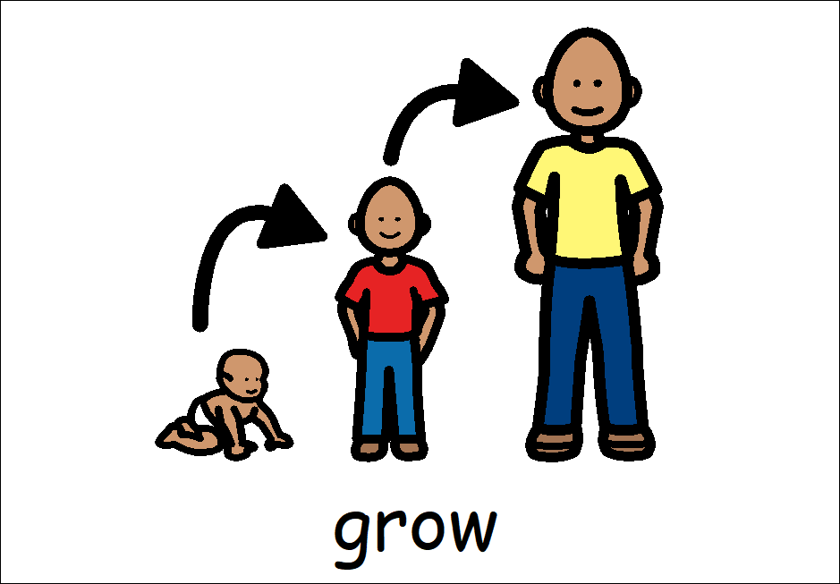 Vision, Values and Aims | Calaiswood School