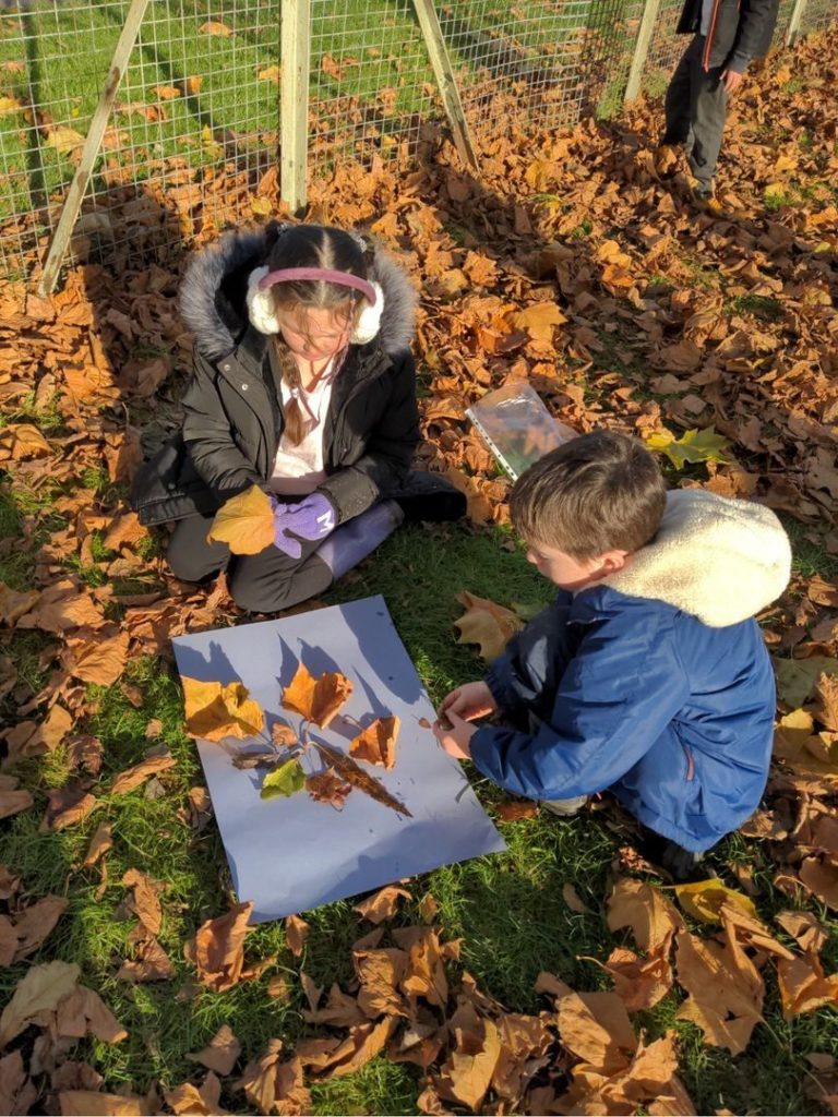 Outdoor Learning – Canmore Primary School