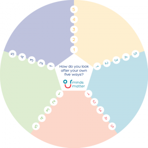 The Five Ways of Wellbeing