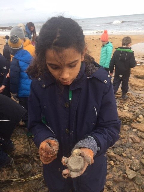 P4-7 Outdoor Learning | Kingsbarns Primary School