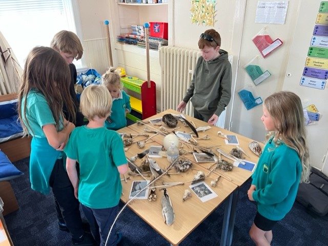 Wildside Nature Workshop | Kingsbarns Primary School