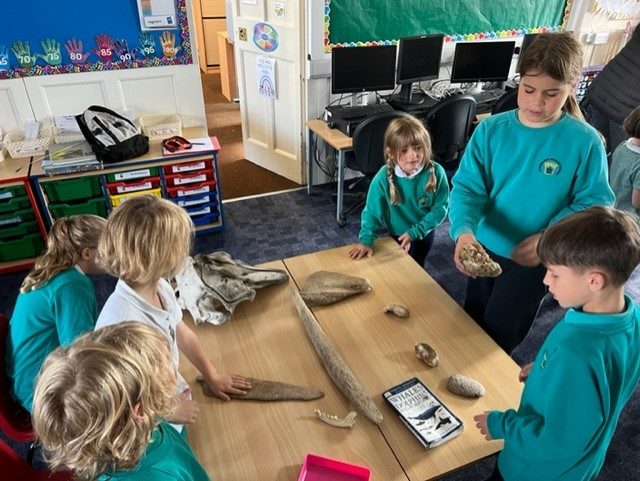 Wildside Nature Workshop | Kingsbarns Primary School