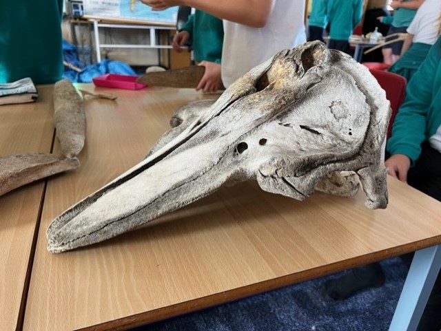 Wildside Nature Workshop | Kingsbarns Primary School