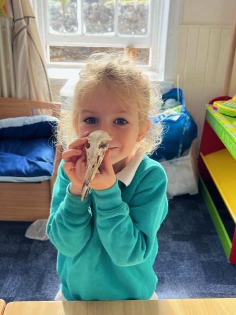 Wildside Nature Workshop | Kingsbarns Primary School