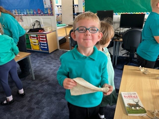 Wildside Nature Workshop | Kingsbarns Primary School