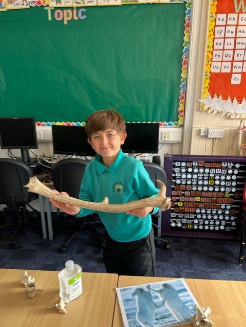Wildside Nature Workshop | Kingsbarns Primary School