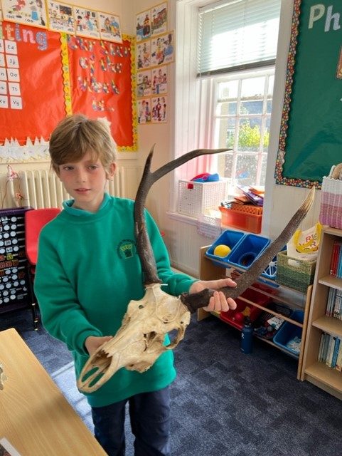 Wildside Nature Workshop | Kingsbarns Primary School