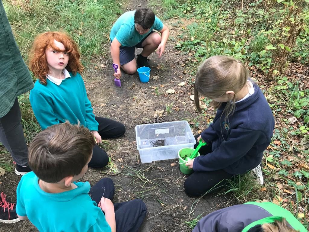 Wildside Nature Workshop | Kingsbarns Primary School