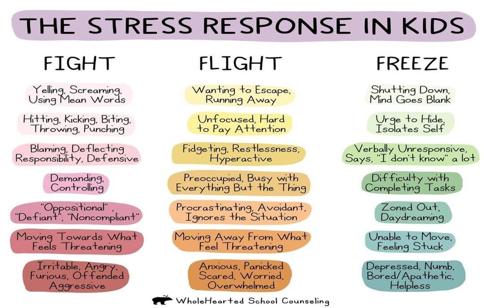 Stress Response – Relationships, Wellbeing & Behaviour in Fife
