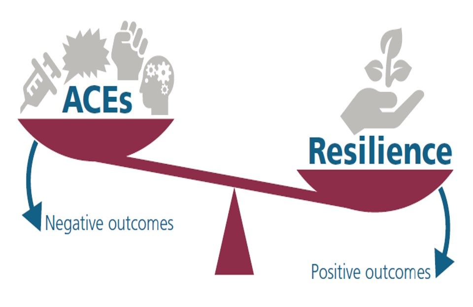Resilience – Relationships, Wellbeing & Behaviour in Fife