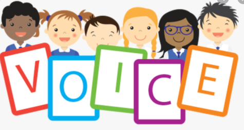 Pupil Voice | St Marie’s RC Primary School