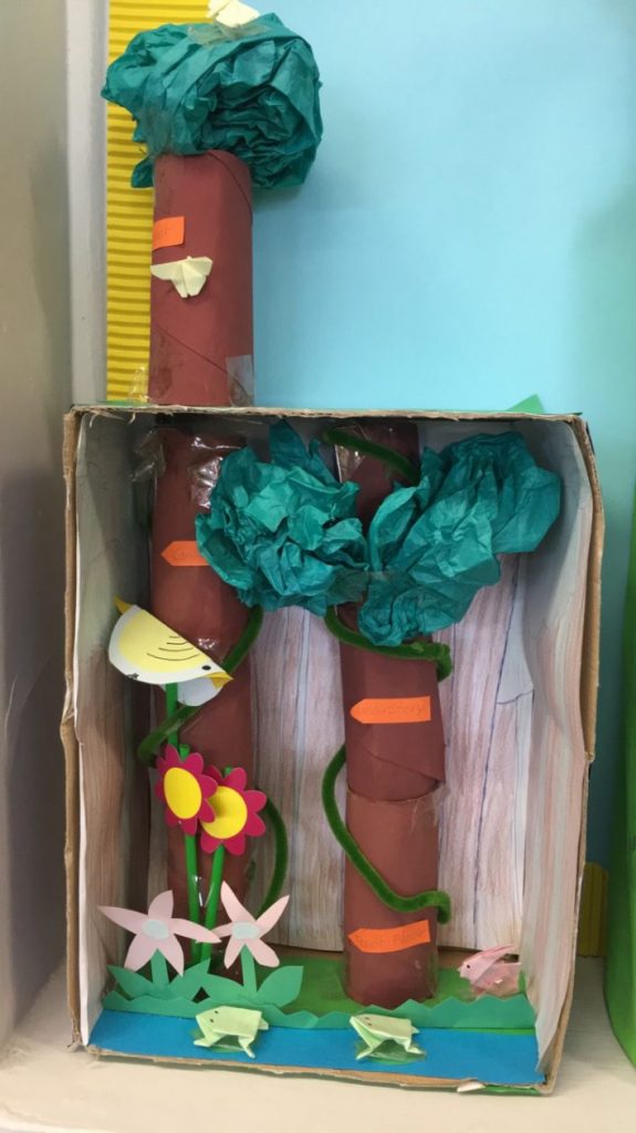 3D Rainforest Models by P7b – Balornock Primary School
